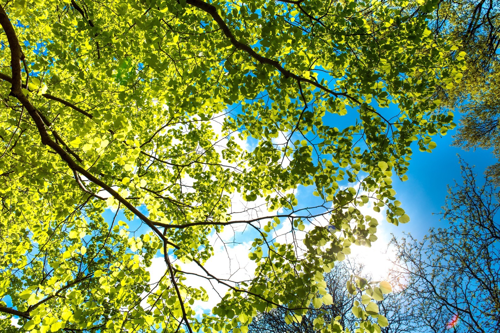 Aktuality - Společnost pro zahradní a krajinářskou tvorbu