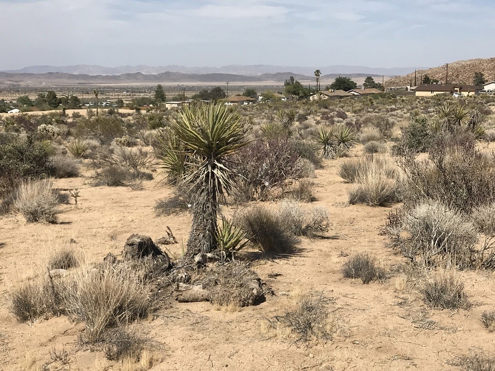 Východní pobřeží USA - Kalifornie - z pouště do hor za nejvyšším ...